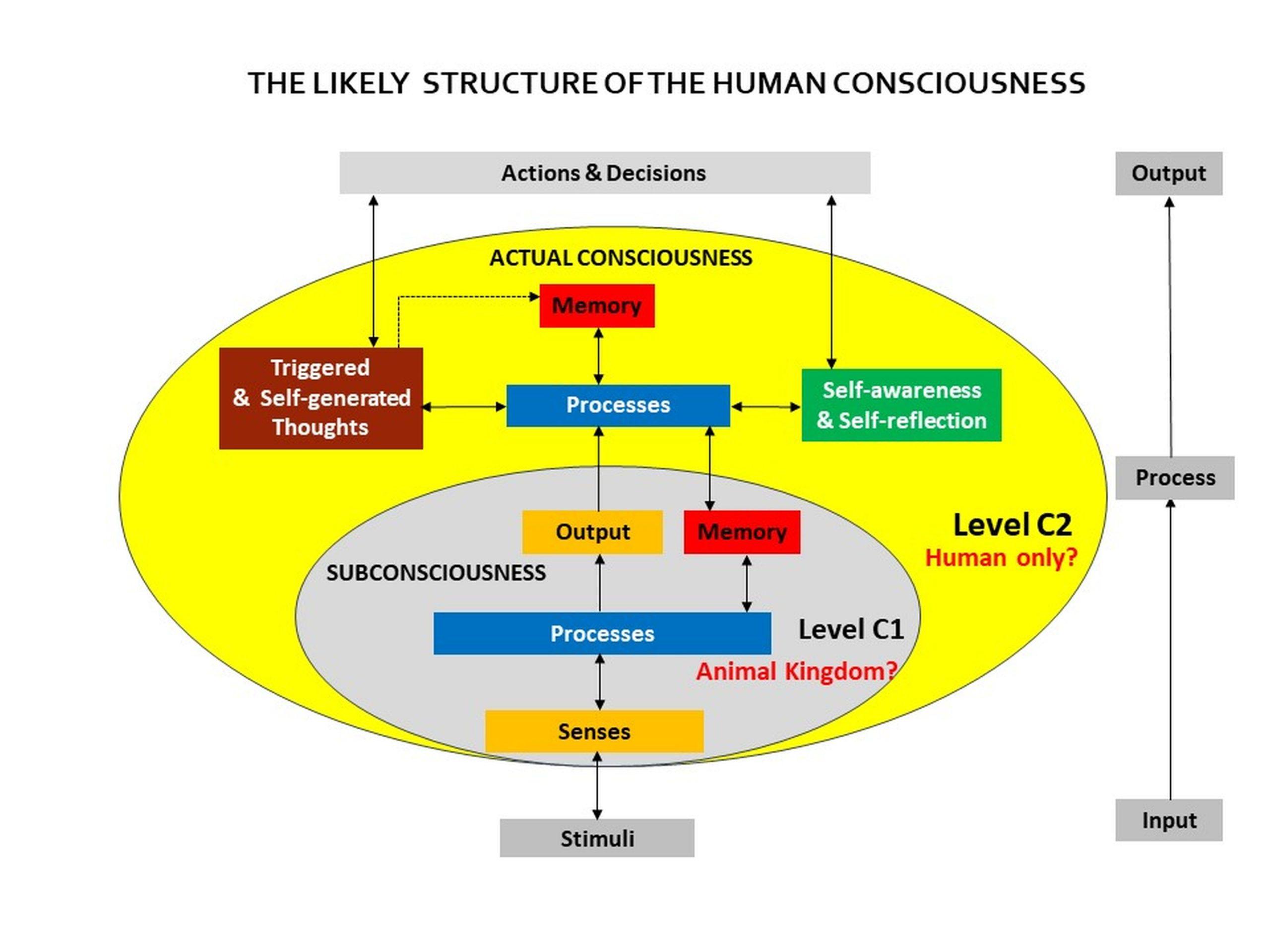Consciousness – SUSTENSIS